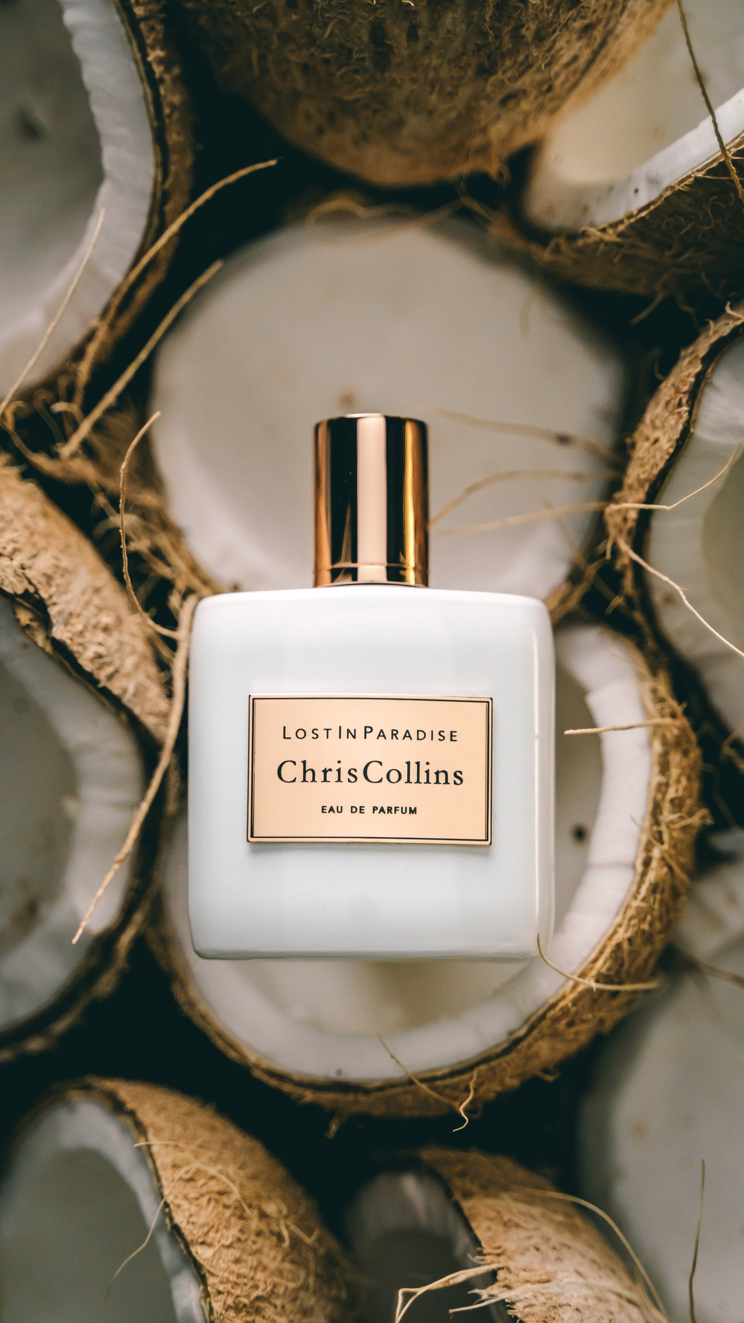 World Of Chris Collins– World of Chris Collins